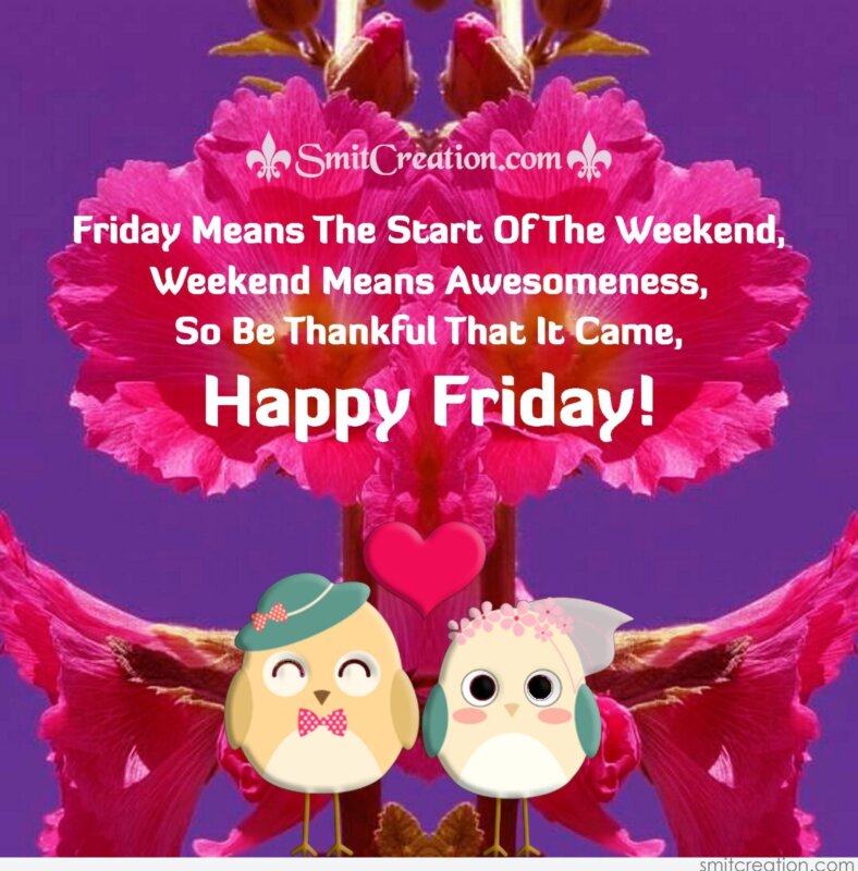Friday Means The Start Of The Weekend SmitCreation Friday Means The Start Of The Weekend SmitCreation