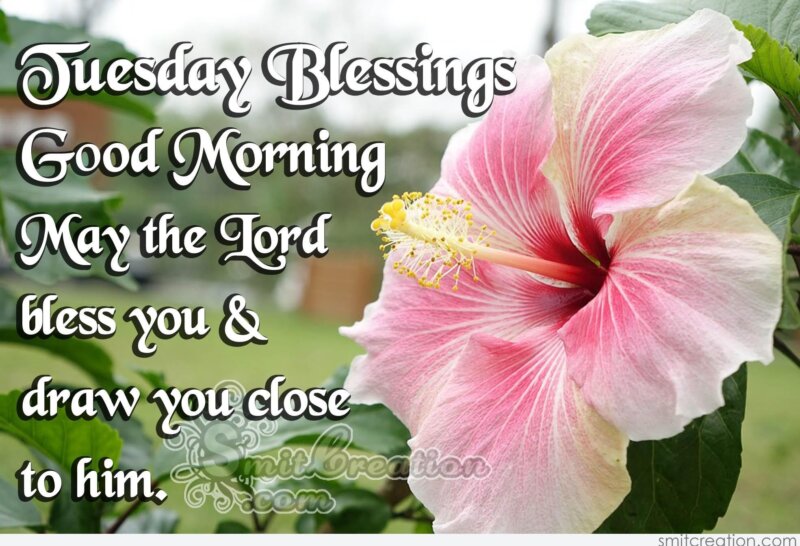 Tuesday Blessings- Good Morning - SmitCreation.com Tuesday Blessings- Good Morning - SmitCreation.com