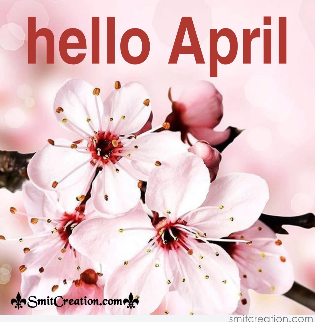 Hello April - SmitCreation.com Hello April - SmitCreation.com