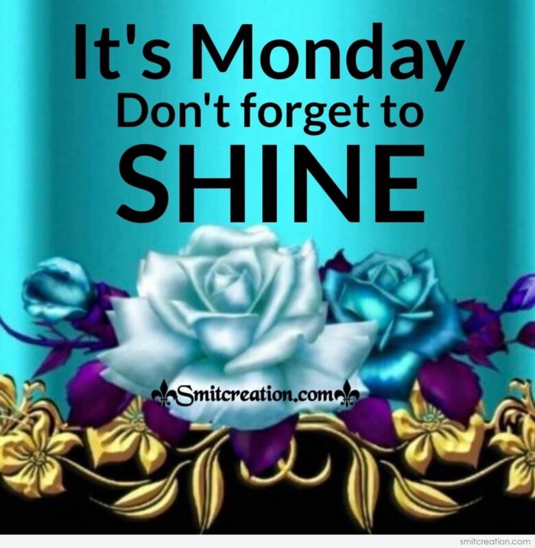It’s Monday, Don’t Forget To Shine - SmitCreation.com It’s Monday, Don’t Forget To Shine - SmitCreation.com